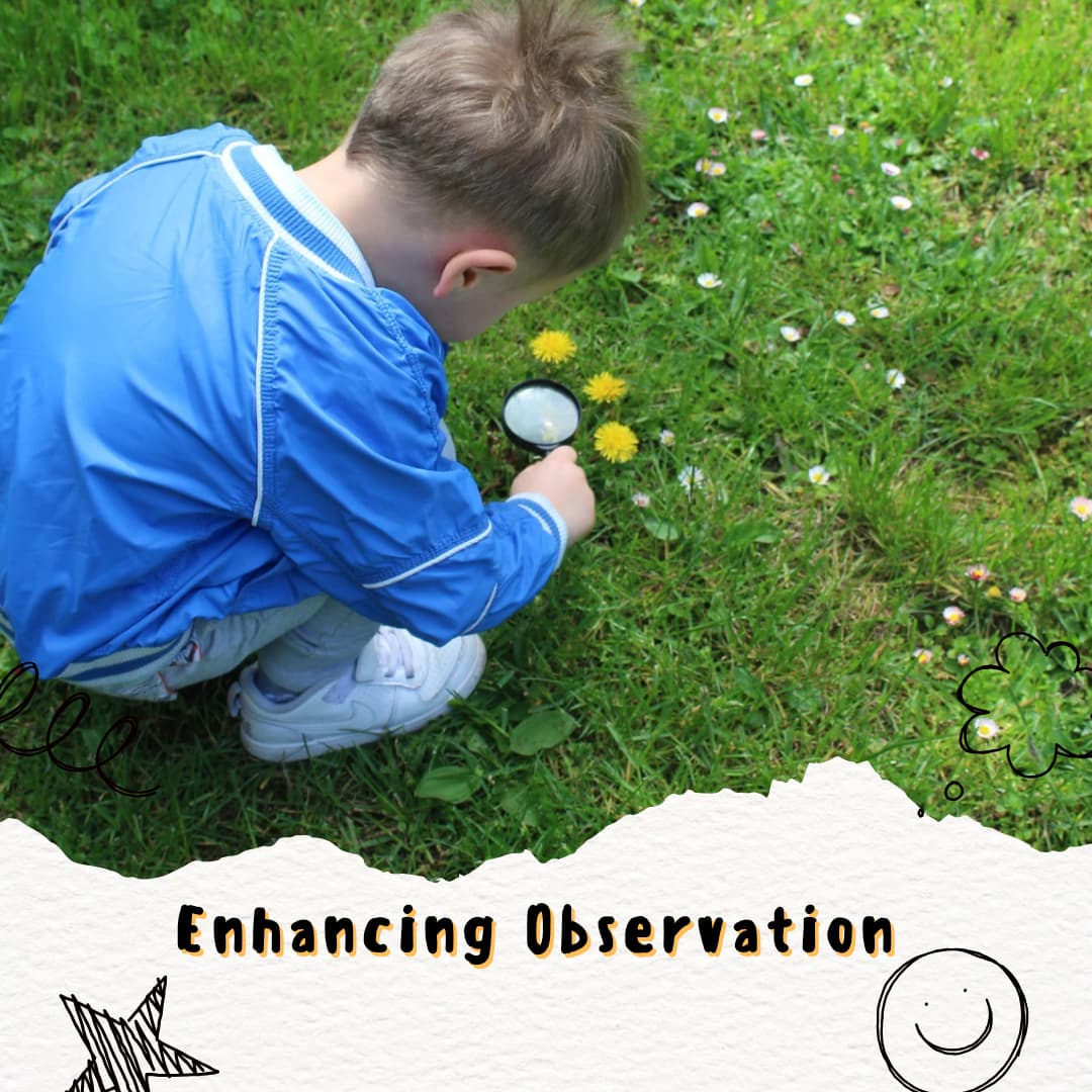 Enhancing Observation Skills in Children Aged 2.5 to 3 Years | Zaalnon